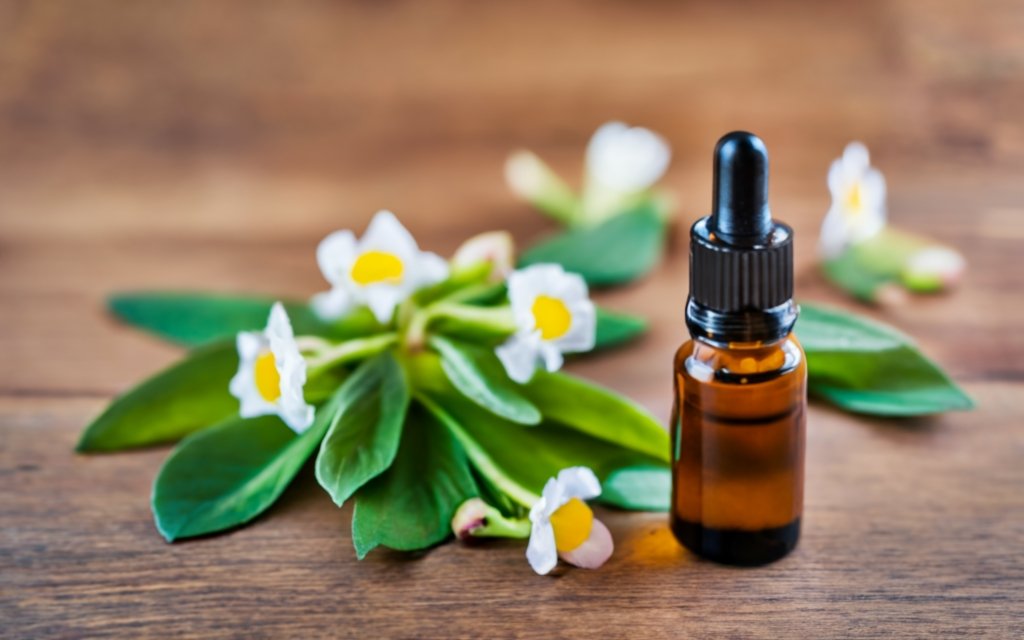 Evening Primrose Oil: A Comprehensive Guide – Health and Wellbeing News