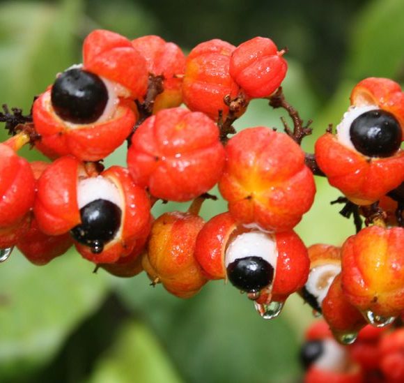 Health and Wellbeing News – Latest News about Health Today in USA