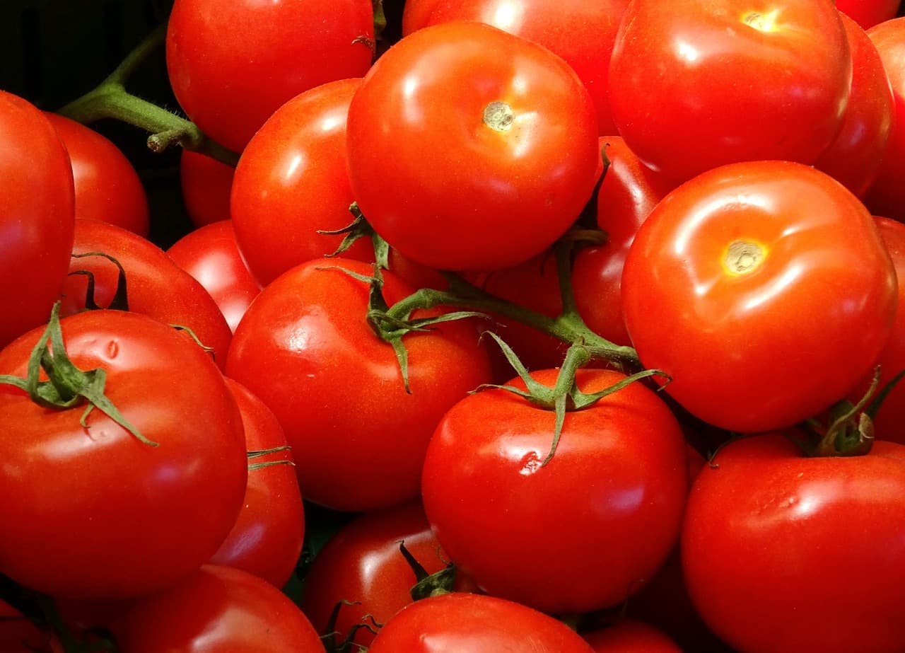 Lycopene: A Powerful Antioxidant with Many Health Benefits – Health and ...