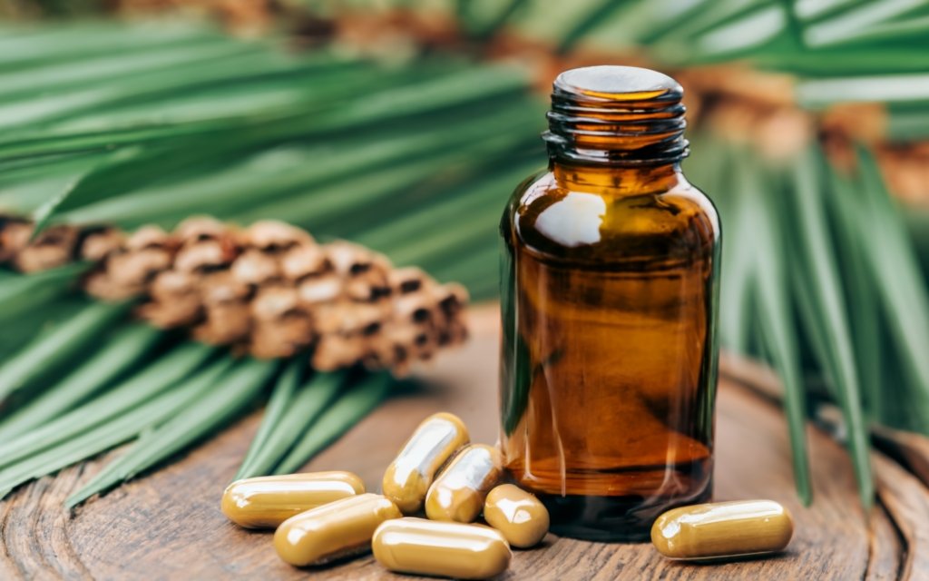 Pine bark extract (comes from French maritime pine tree) — spurce of ...