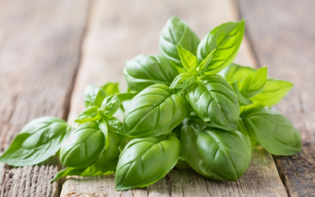 Stress Less, Glow More! Basil's Secret Powers for Health & Happiness