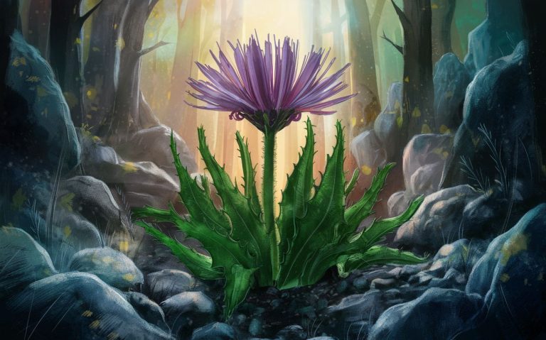 ACONITE: Uses, Side Effects, and Homeopathic Recipes – Health and ...